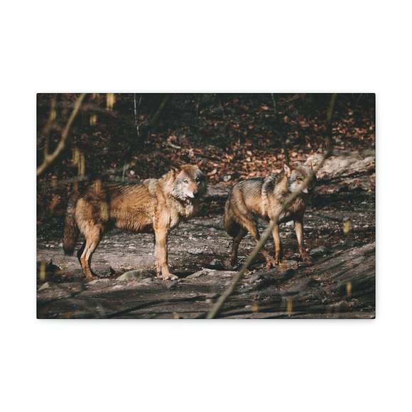 Express Your Love Gifts | Art | Funny Wolf Silly Wolf Scene Couple Wall ...